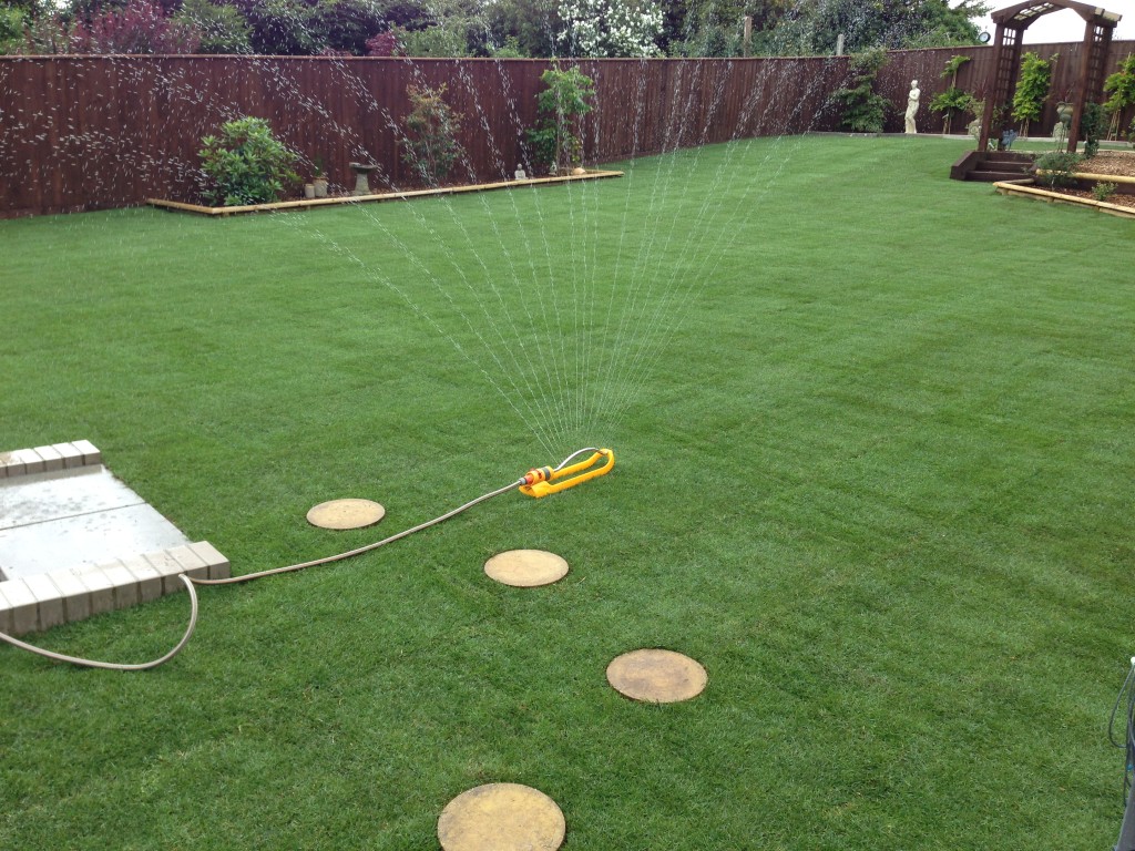 Lawn Turf | Essex & Suffolk | Oakley Turf