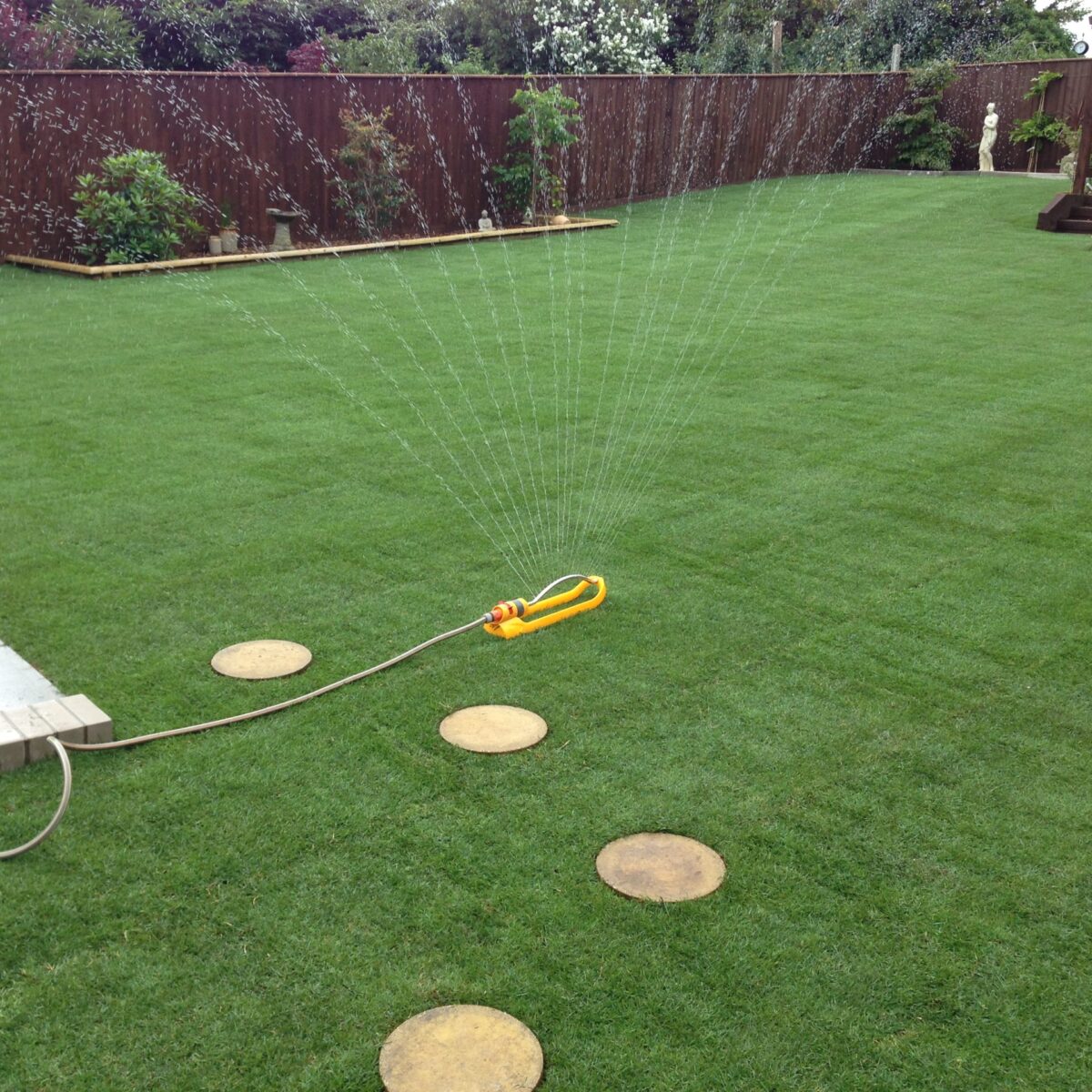 Lawn Turf | Essex & Suffolk | Oakley Turf