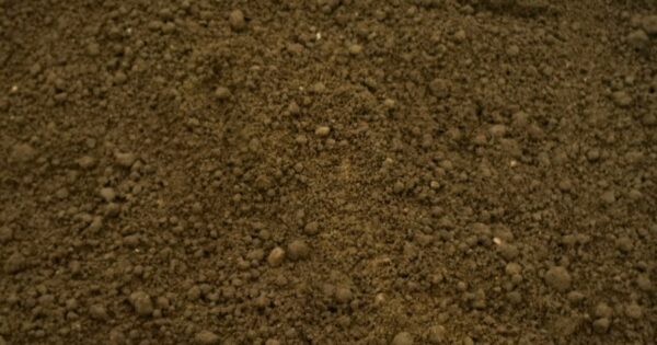 Top soil | Delivered Essex & Suffolk | Oakley Turf