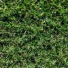 Lawn Turf | Essex & Suffolk | Oakley Turf
