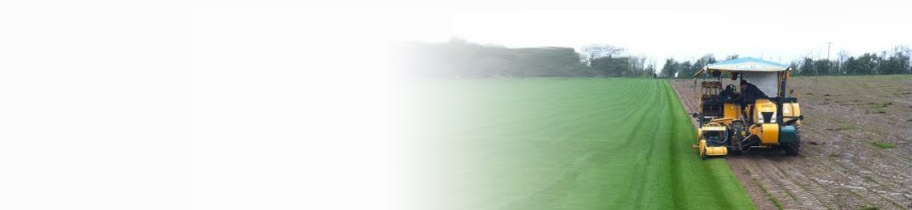 oakley-hp - Buy Turf Essex and Turf Suffolk delivered to your garden.