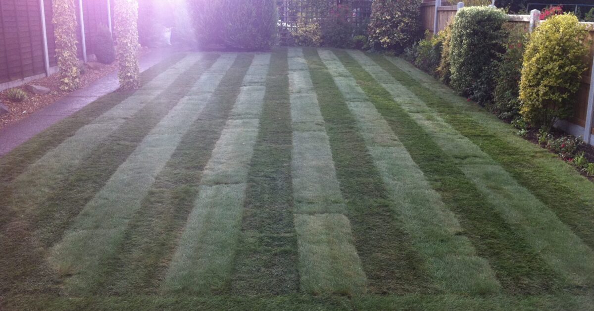 How to lay lawn turf | Laying a new lawn