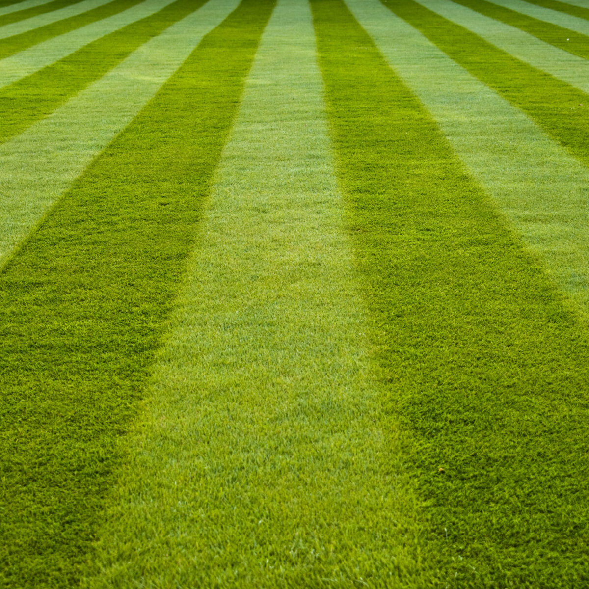 Garden Turf - Buy Turf Essex and Turf Suffolk delivered to your garden.