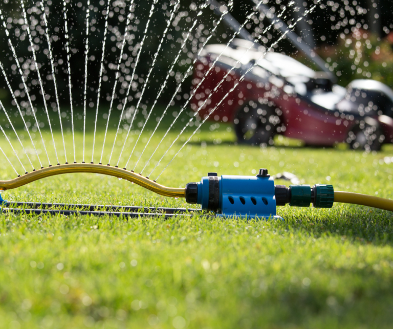 10 Steps for Watering Newly Laid Turf | Caring for a new lawn